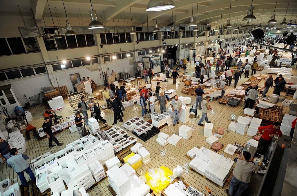 Reorganization of the Fish Auction Market Facilities and Infrastructure ...