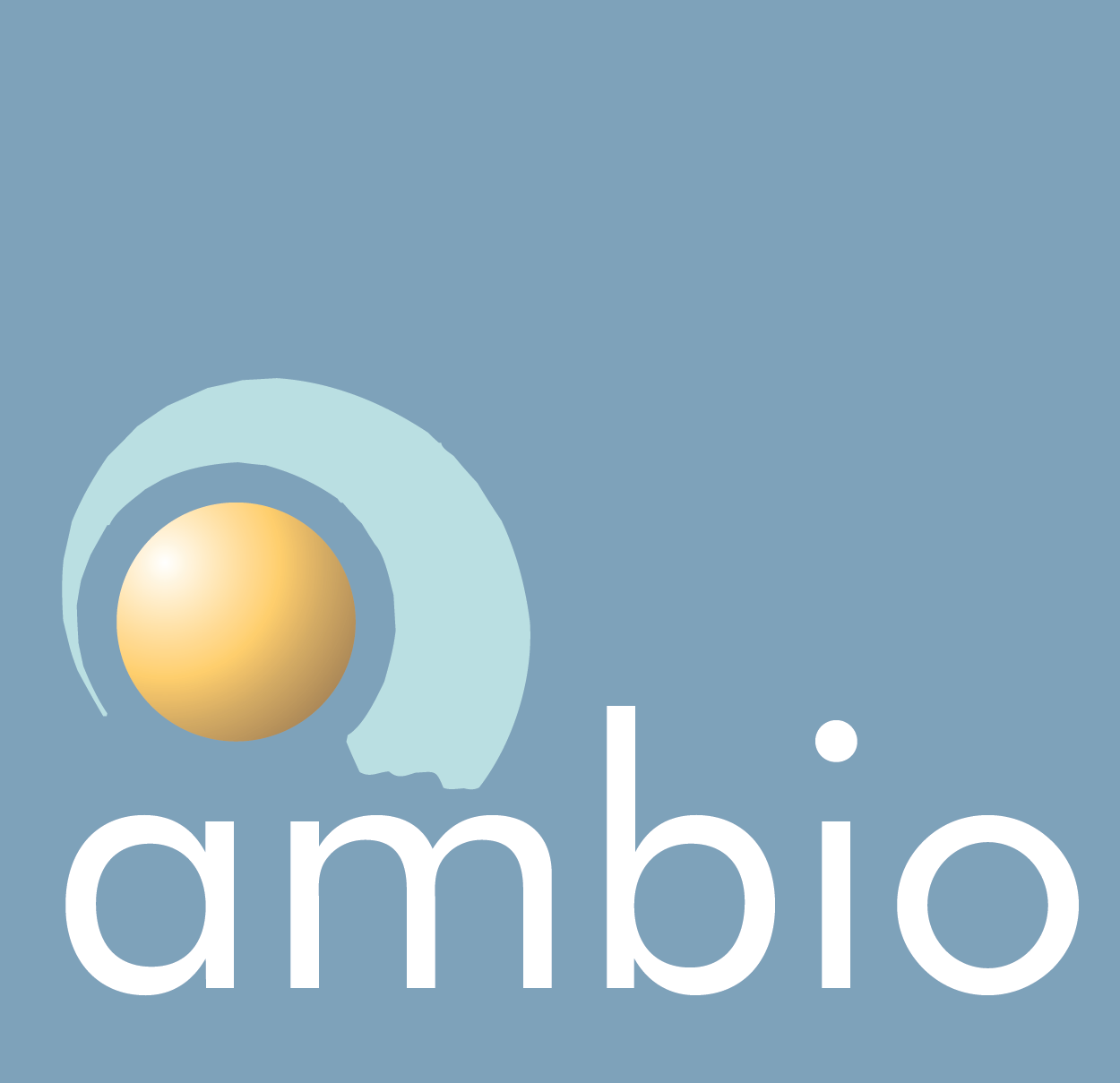AMBIO Consultants | We help you leverage the power of knowledge